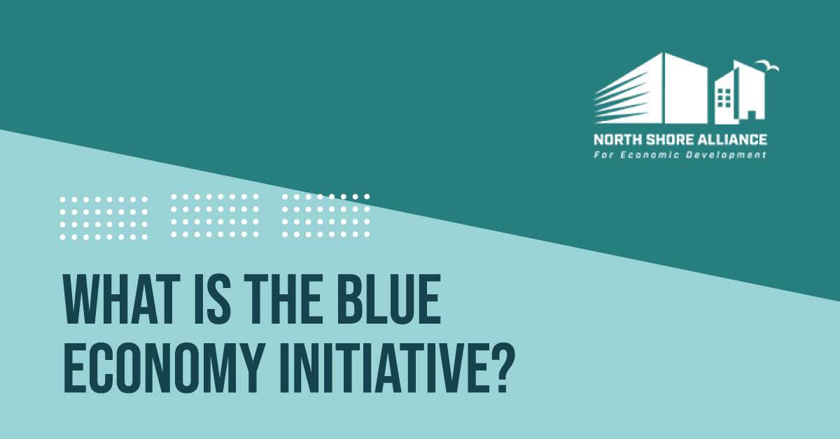 What Is the Blue Economy Initiative? - NSAED